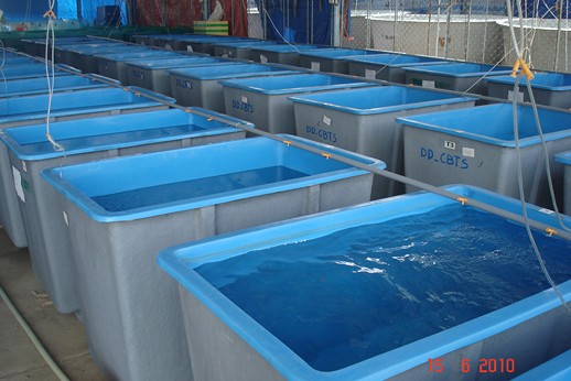 Department of Aquatic Nutrition and Products Processing