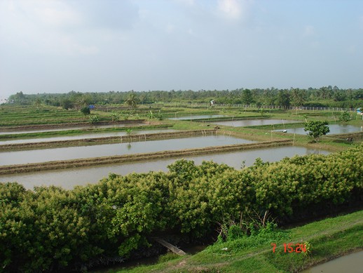 Department of Freshwater Aquaculture